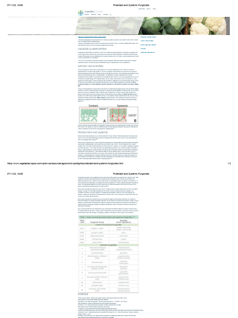 Protectant vs. Systemic Fungicides | PDF | Fungicide | Fungus