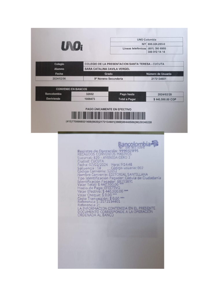 Libros UNOI 2024 Sara | PDF