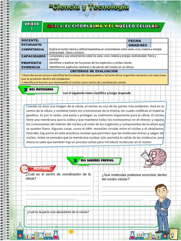 B-4º Act 3-Cyt-Und 2 - Sem 2 | PDF | Nucleo celular | Biología Celular)