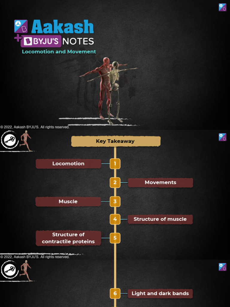 Locomotion and Movement | PDF | Vertebral Column | Vertebra