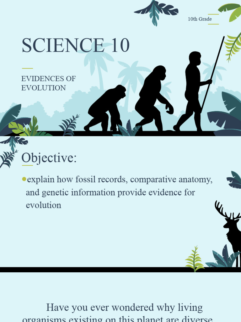 GROUP 3 - Science 10 - Evidences of Evolution | PDF | Evolution ...