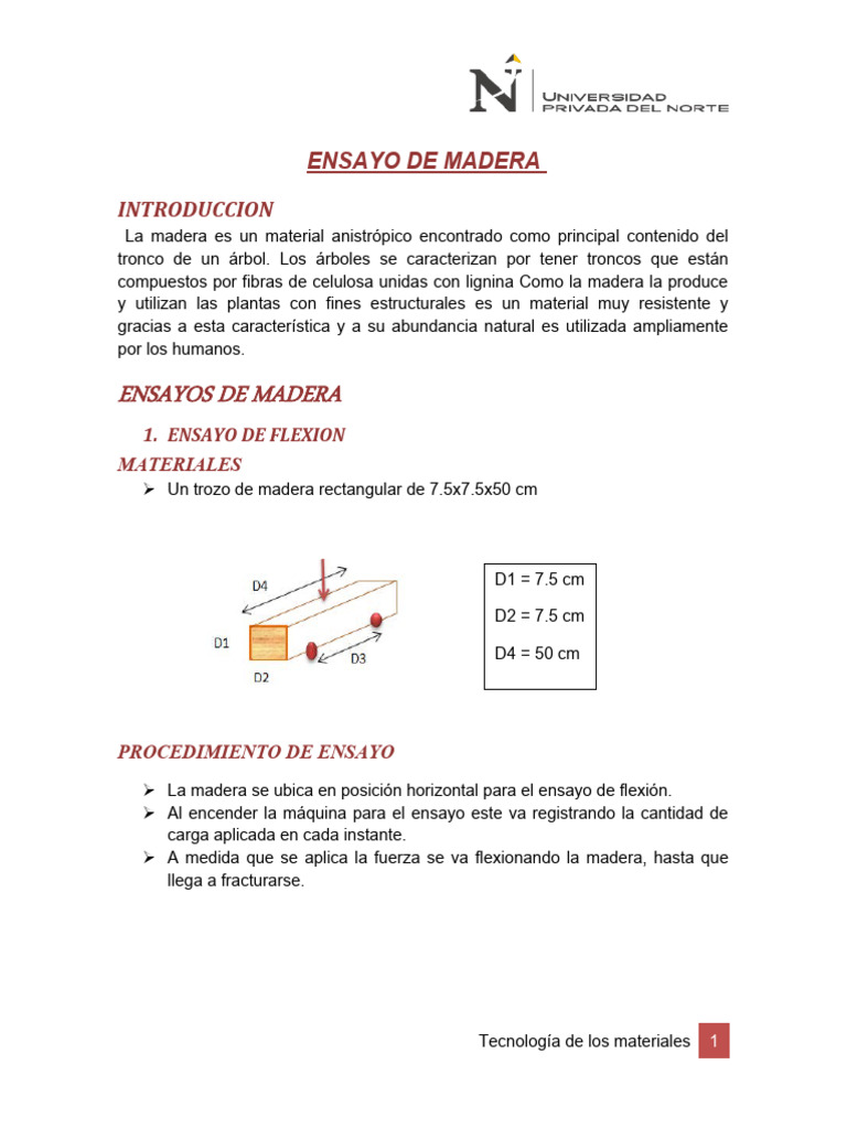 Ensayo Avanzado Matcon | PDF | Madera | Hormigón