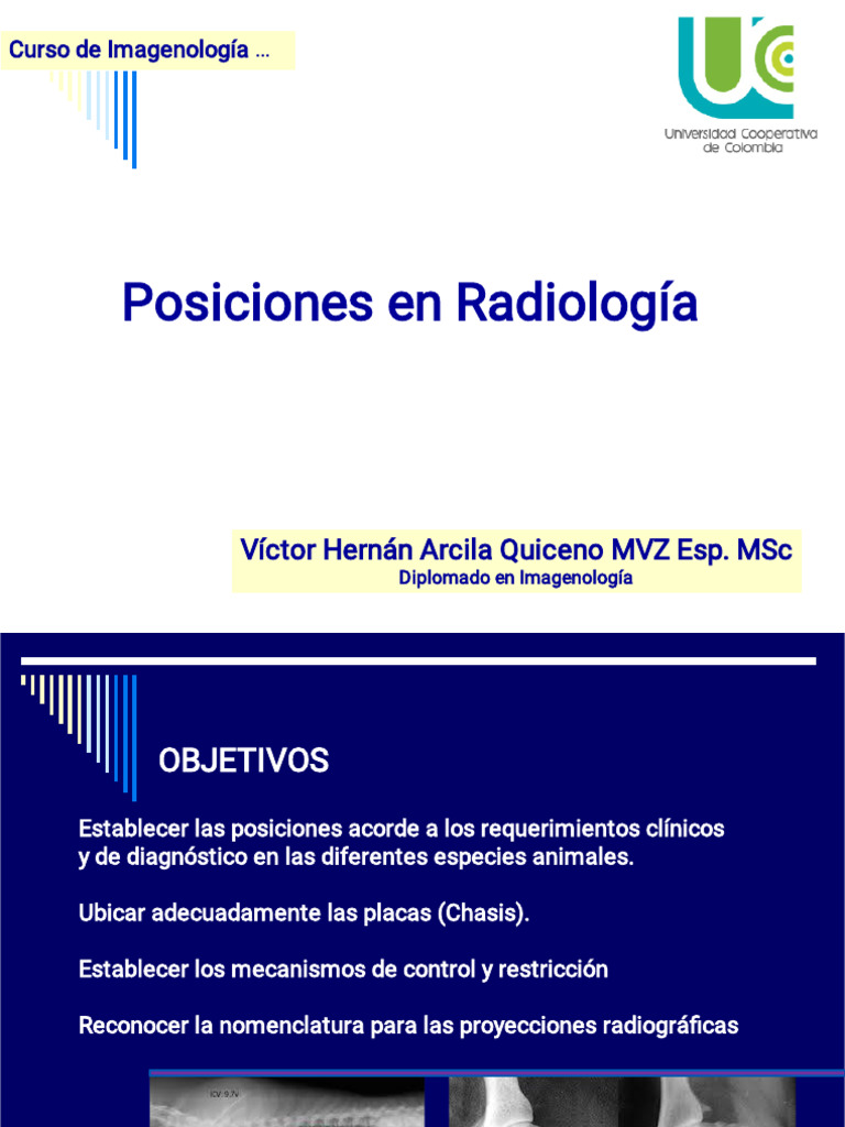 06_Posiciones_radiograficas | PDF | Términos anatómicos de ubicación