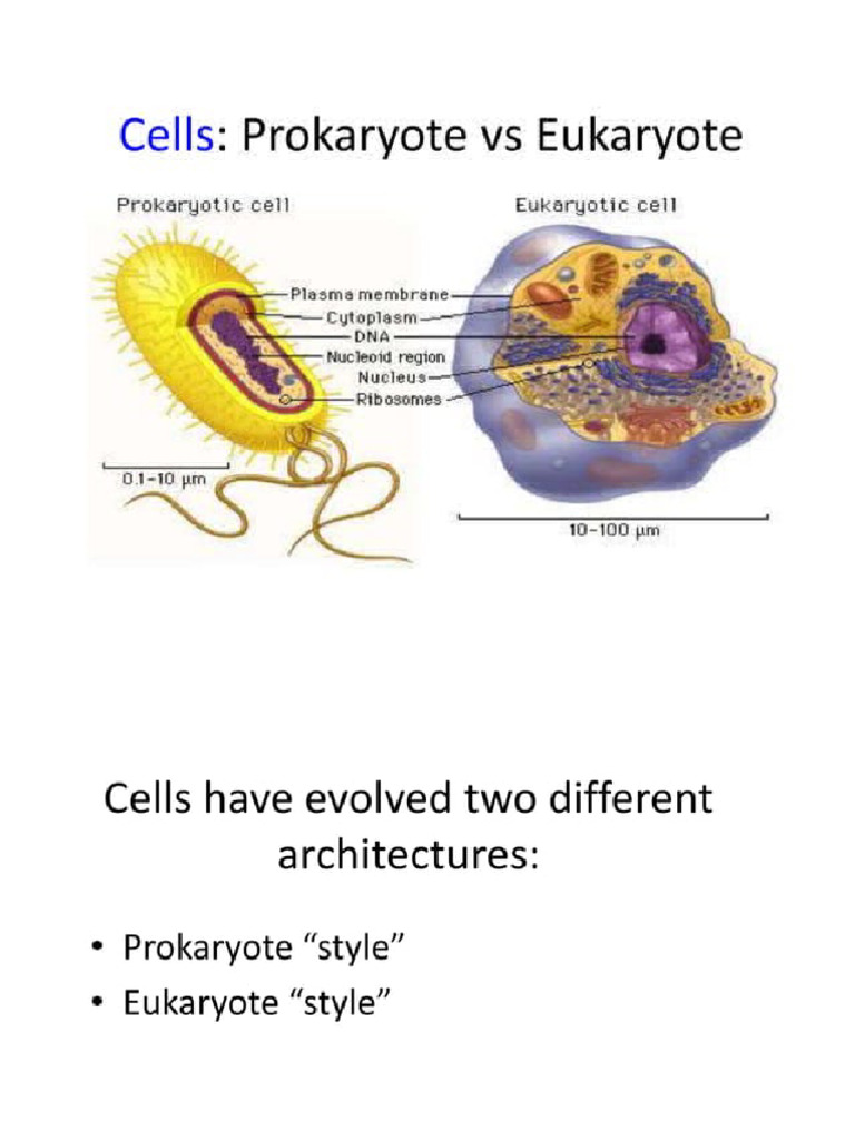 Pro Vs Eu Discussion | PDF