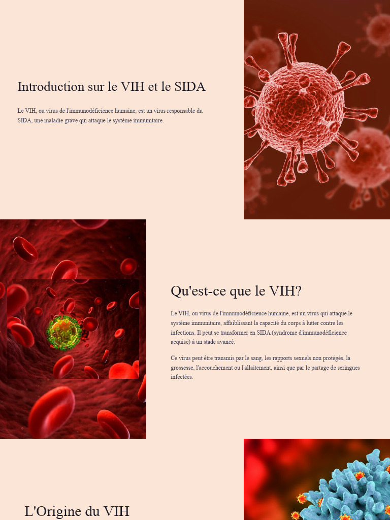 Presentation VIH SIDA Final | PDF | VIH | SIDA
