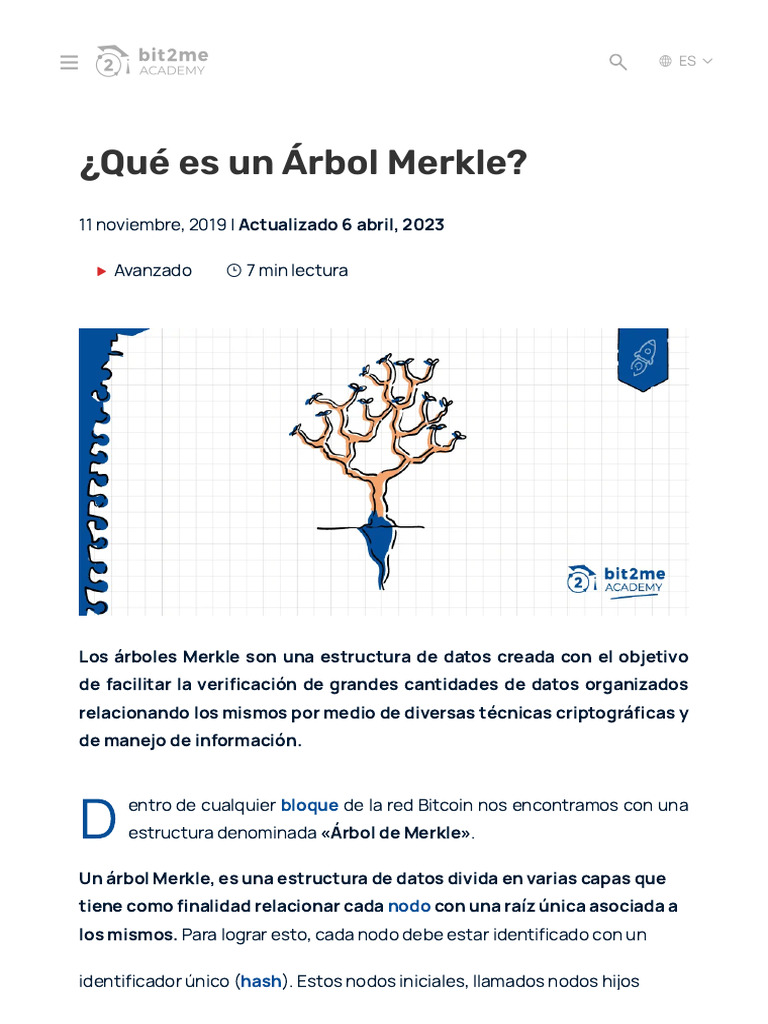 Qué Es Un Árbol Merkle - Bit2me | PDF | Archivo de computadora ...