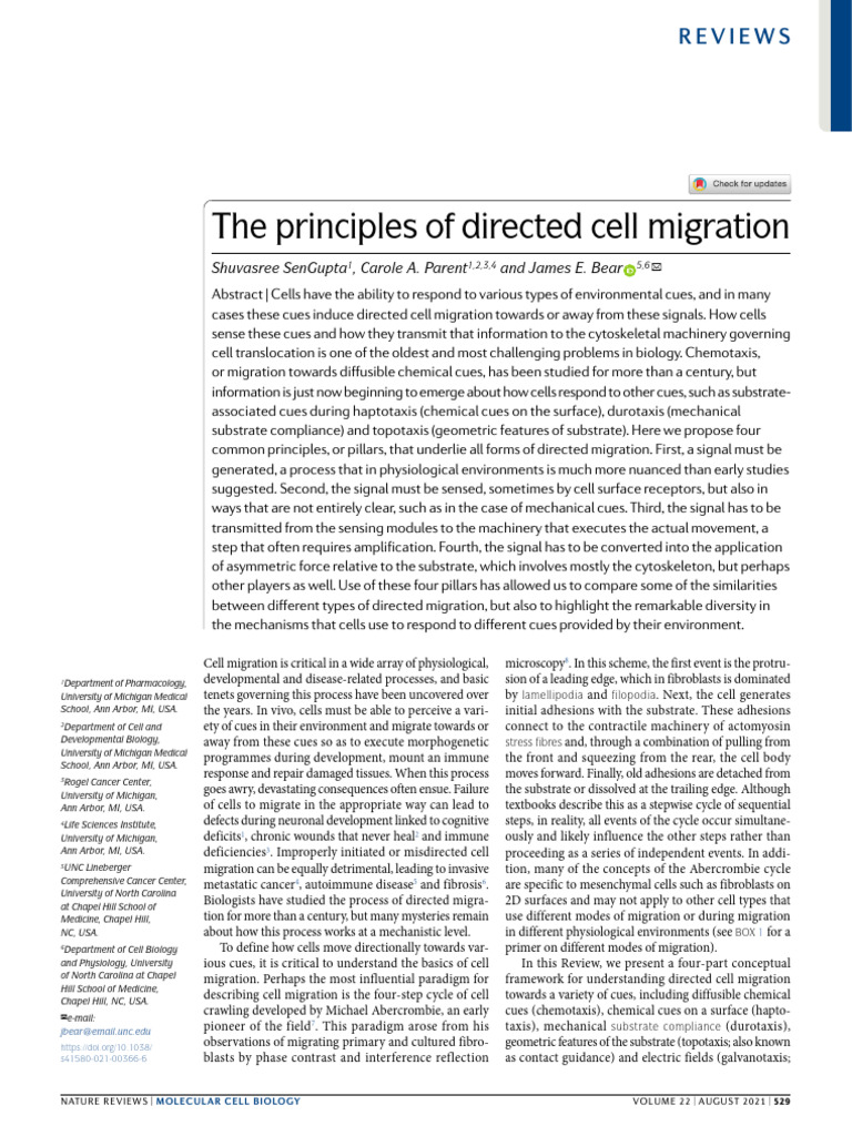 The Principles of Directed Cell Migration | PDF | Cell Migration ...