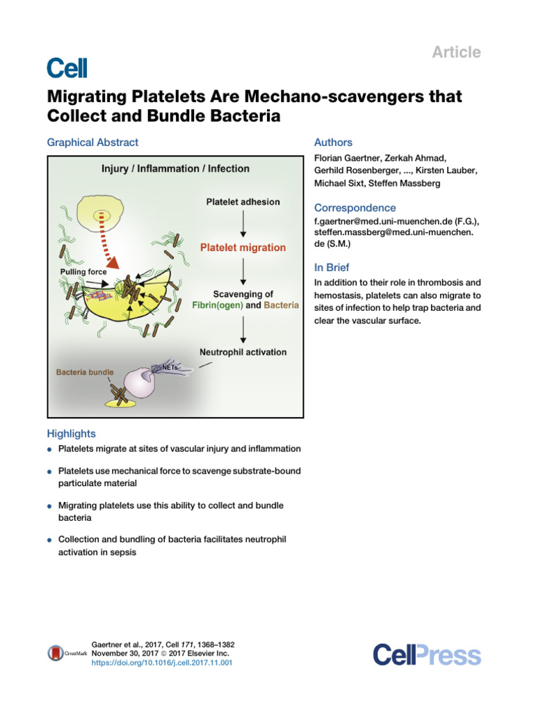 Migrating Platelets Are Mechano-Scavengers That Collect and Bundle ...