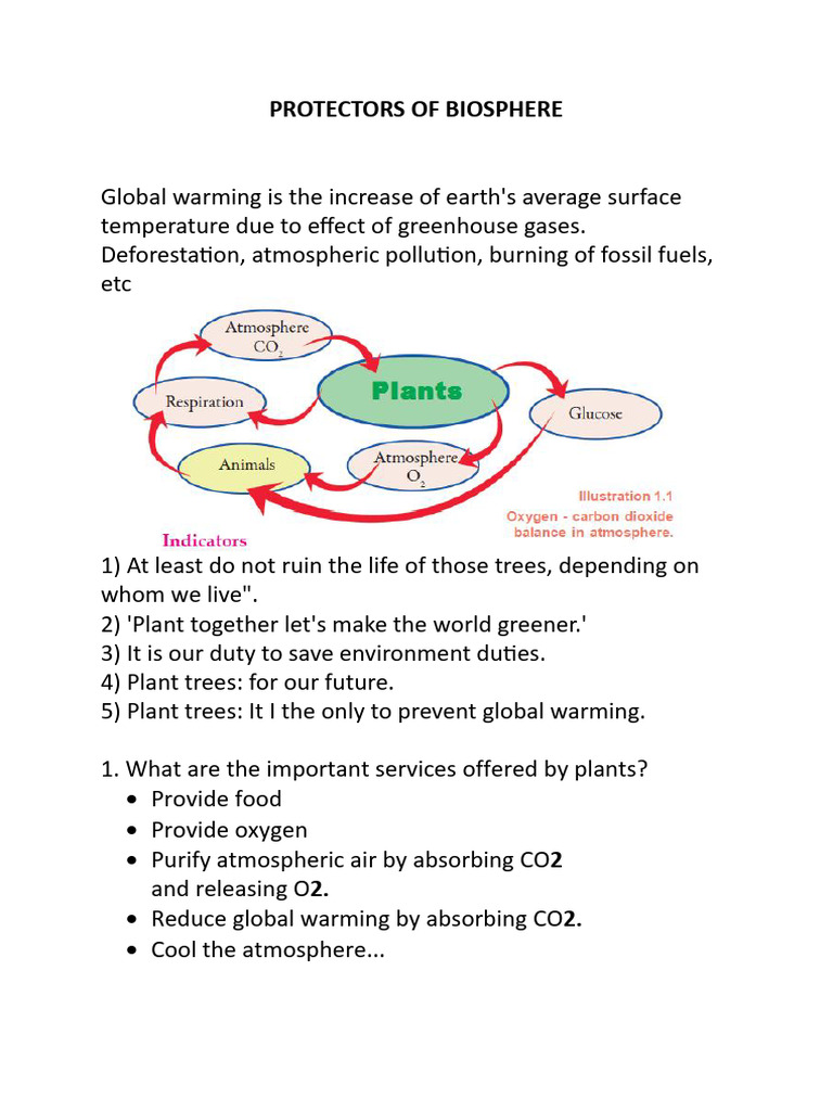 Portectors of Biosphere | PDF | Photosynthesis | Chloroplast