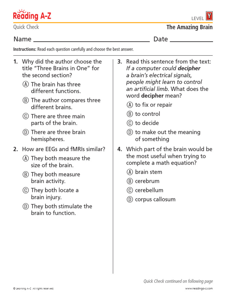 TheAmazingBrain Worksheet | PDF | Brain | Electroencephalography