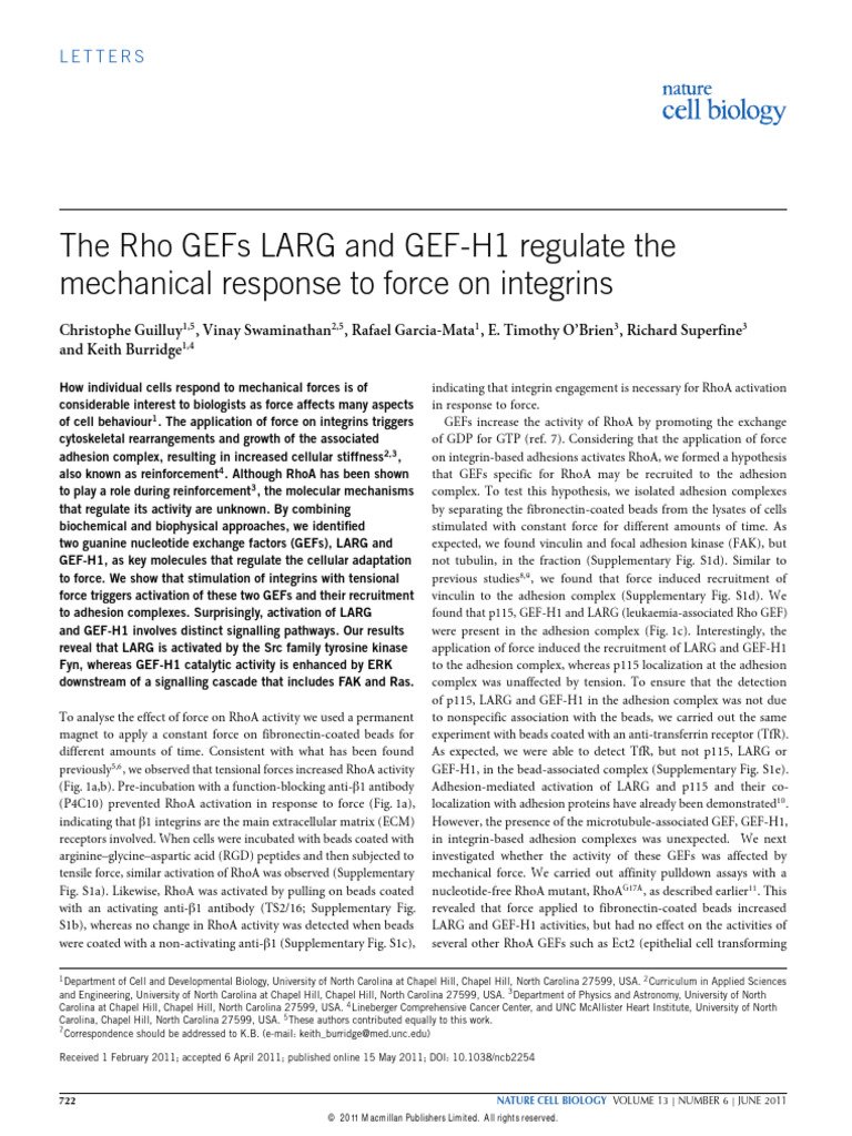 The Rho GEFs LARG and GEF-H1 Regulate The Mechanical Response To Force ...