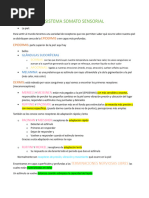 Sensibilidad somestésica y visceral | PDF | Dolor | Sistema somatosensorial