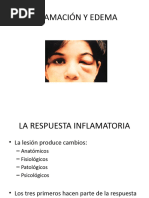 Cuadro Comparativo Inflamación, Edema, Hematoma | PDF | Inflamación | Edema
