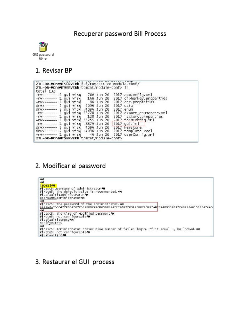 Recuperar Password Bill Process | PDF