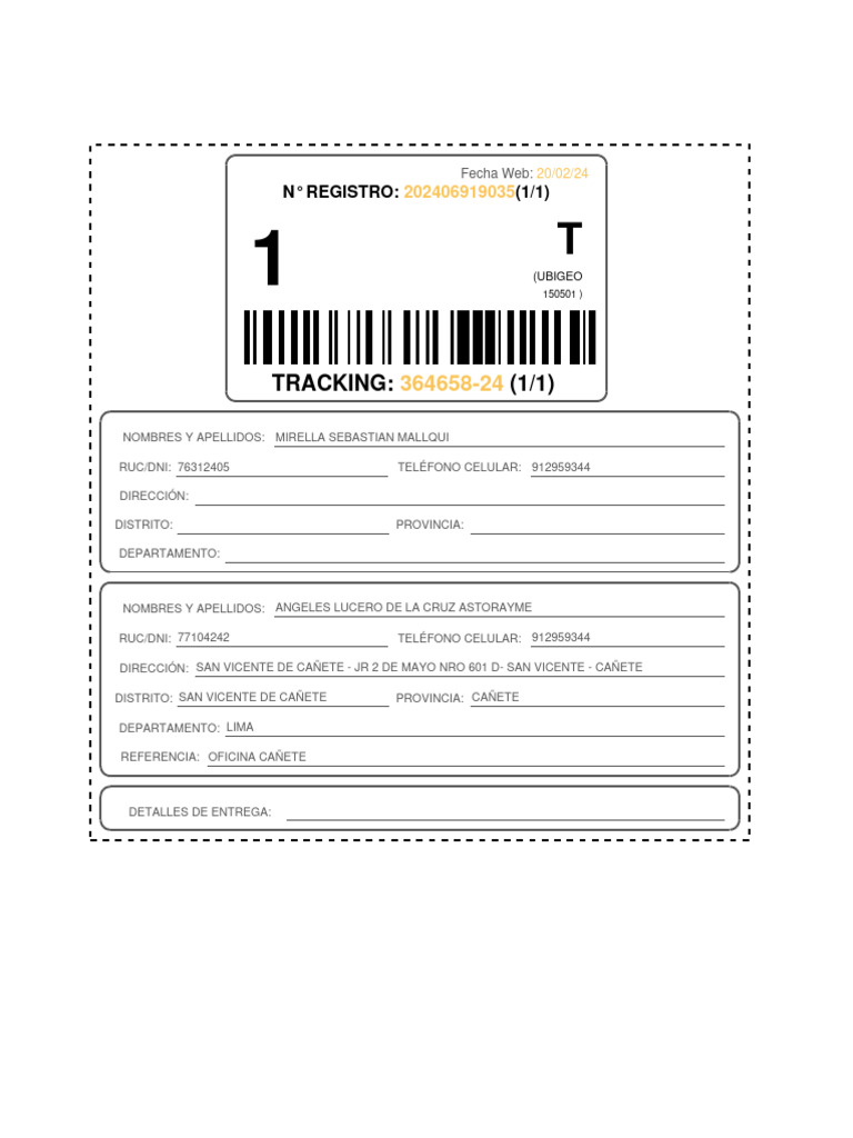 Detalles de Entrega en Cañete | PDF