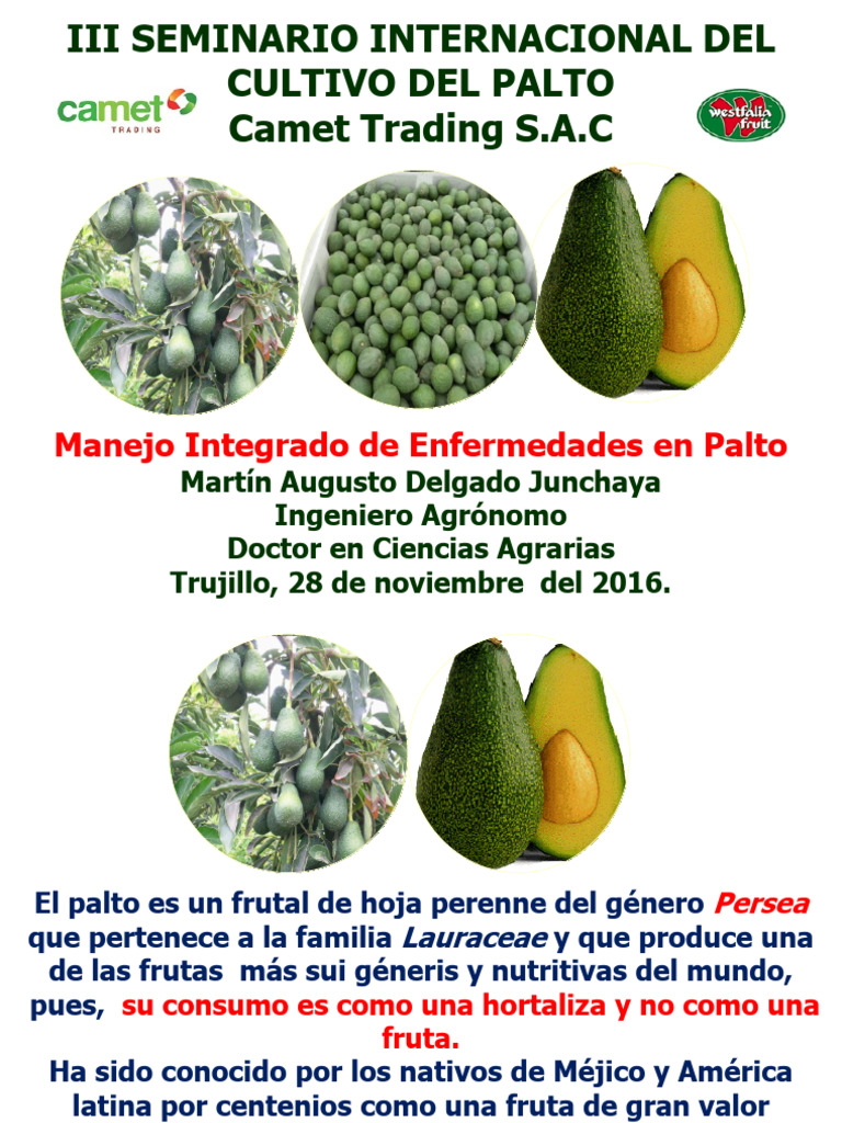8 Manejo Integrado de Plagas en Palto | PDF | Patologia de planta | Suelo