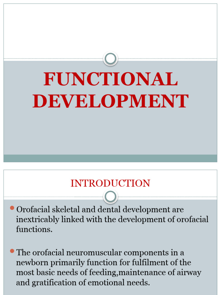 Functional Development | PDF | Bone