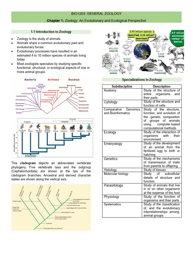 CHAPTER 1 REVIEWER | PDF | Zoology | Evolution