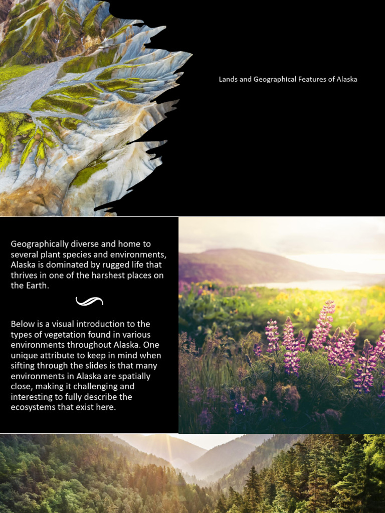 Alaska Lands and Vegetation | PDF | Wetland | Peat