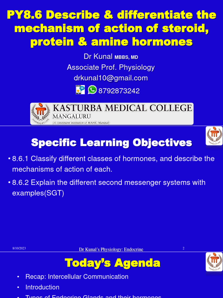 Endocrine - Introduction & 2nd Messenger System 20221 | PDF | Cell ...