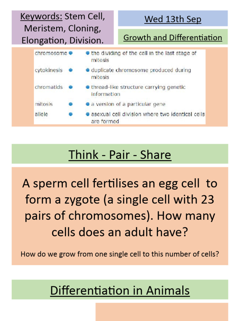Differentiation in Animals and Plants | PDF | Cellular Differentiation ...