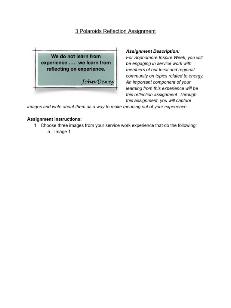 Polaroid Service Reflection Assignment | PDF | Earth Sciences