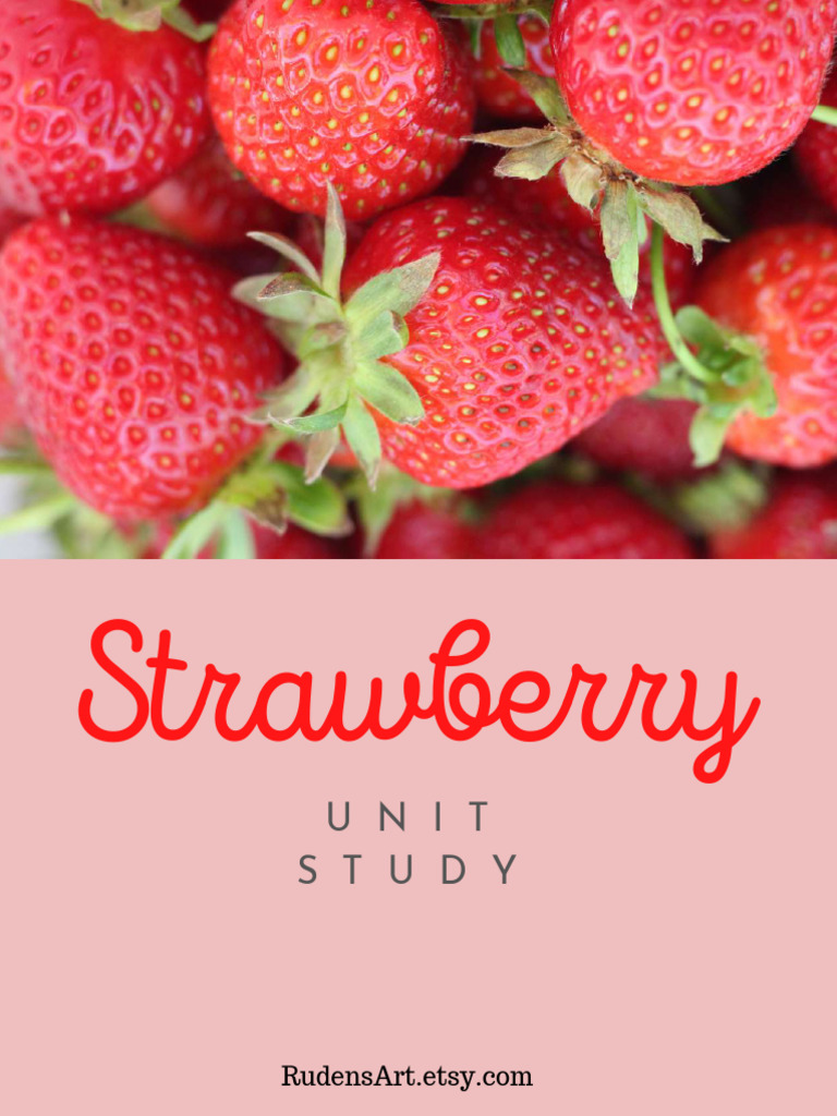 Strawberry: Unit Study | PDF | Fruit | Strawberry