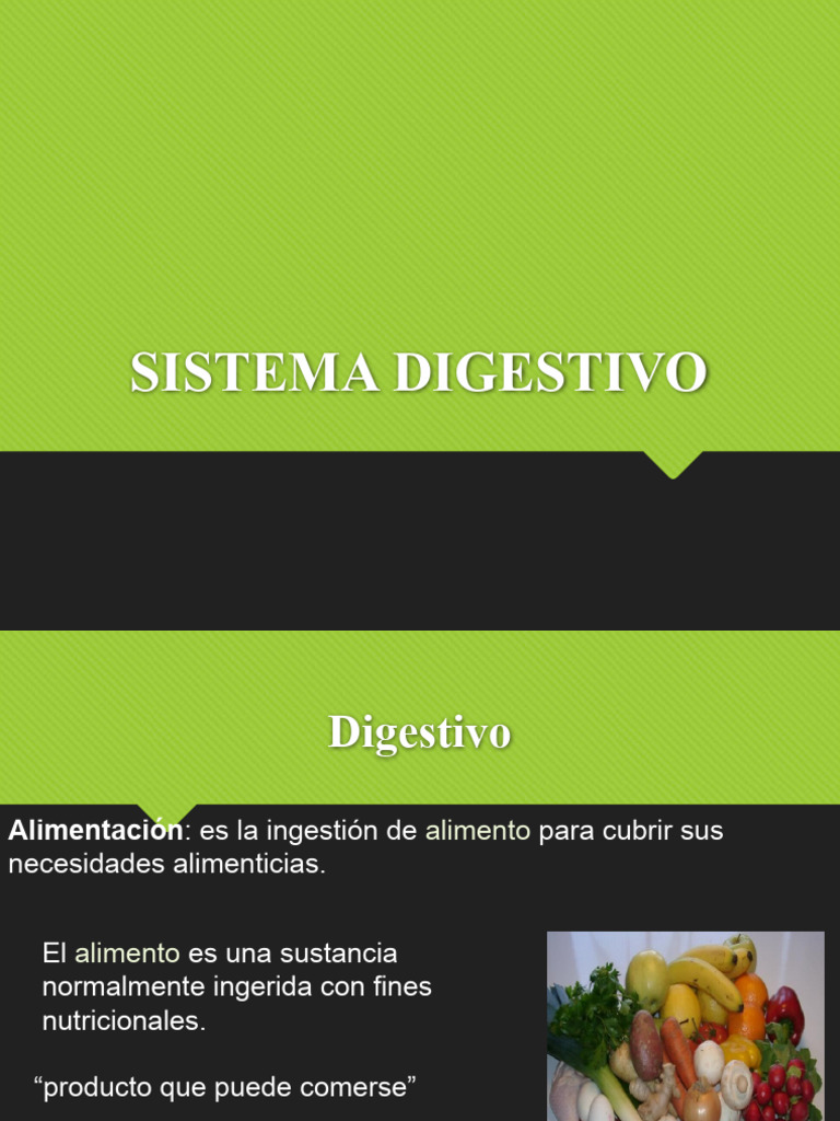 Clase 9 Sistema Digestivo de Animales | PDF | Esófago | Sistema ...