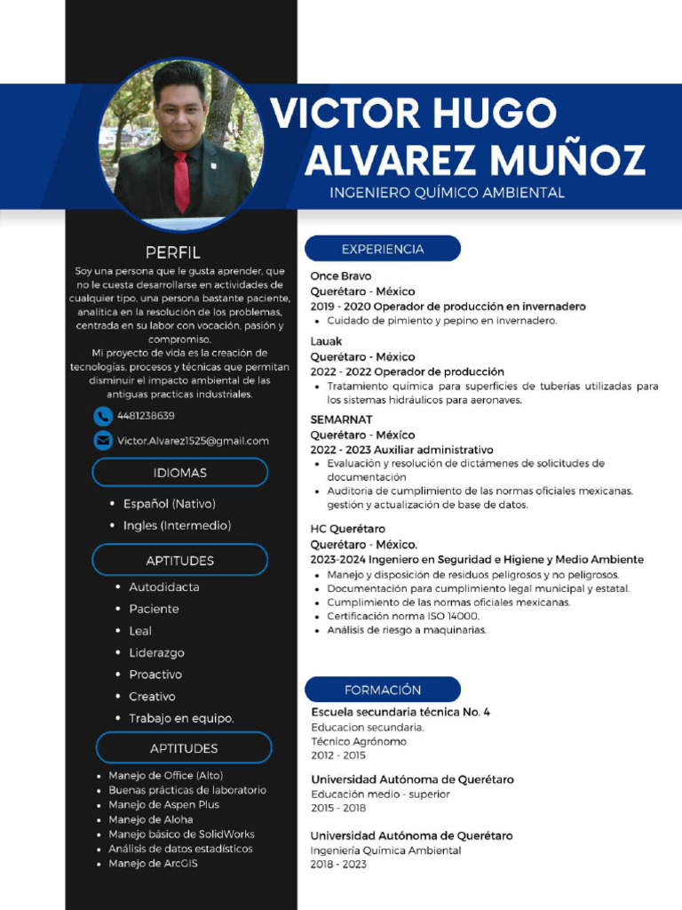 Victor Hugo Alvarez Muñoz CV In_ | PDF
