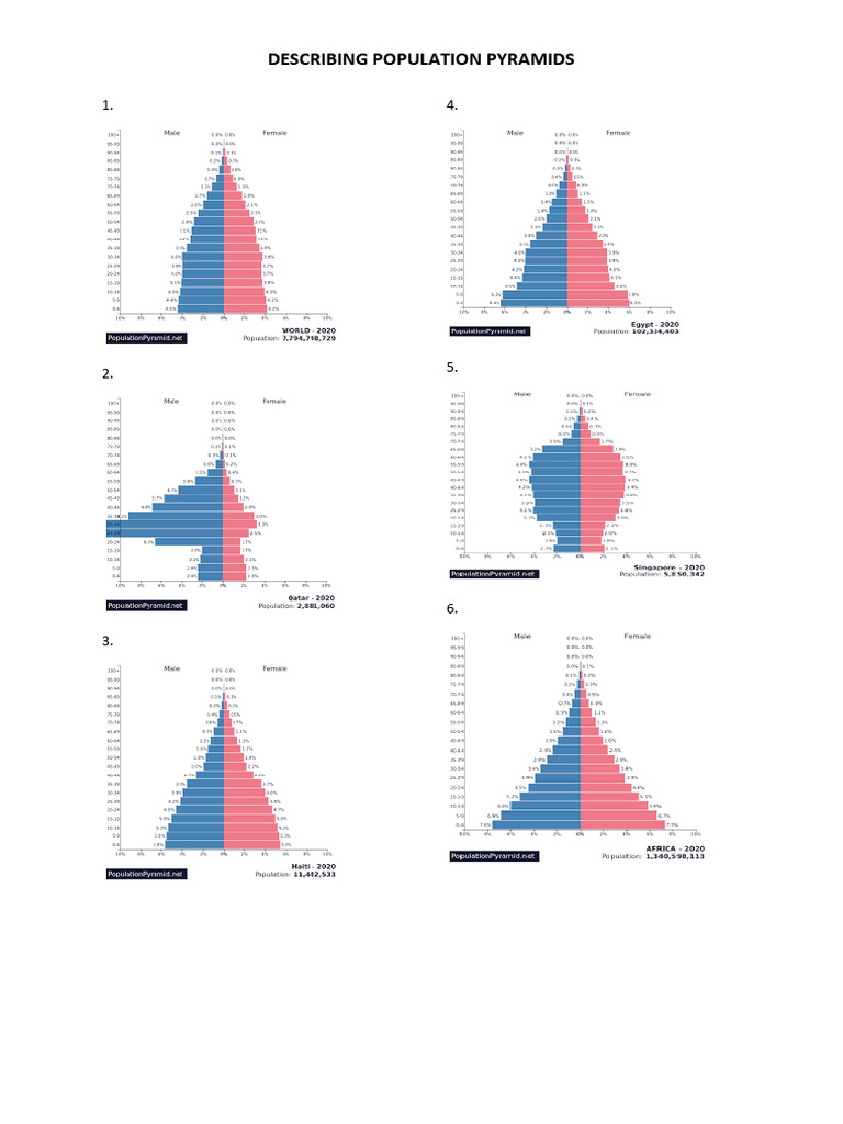 Understanding Population Pyramids Pdf