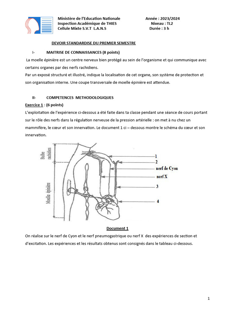 TL2 SVT Dev 1 Bassin 1er Sem 23 24 | PDF | Nerf | Cœur