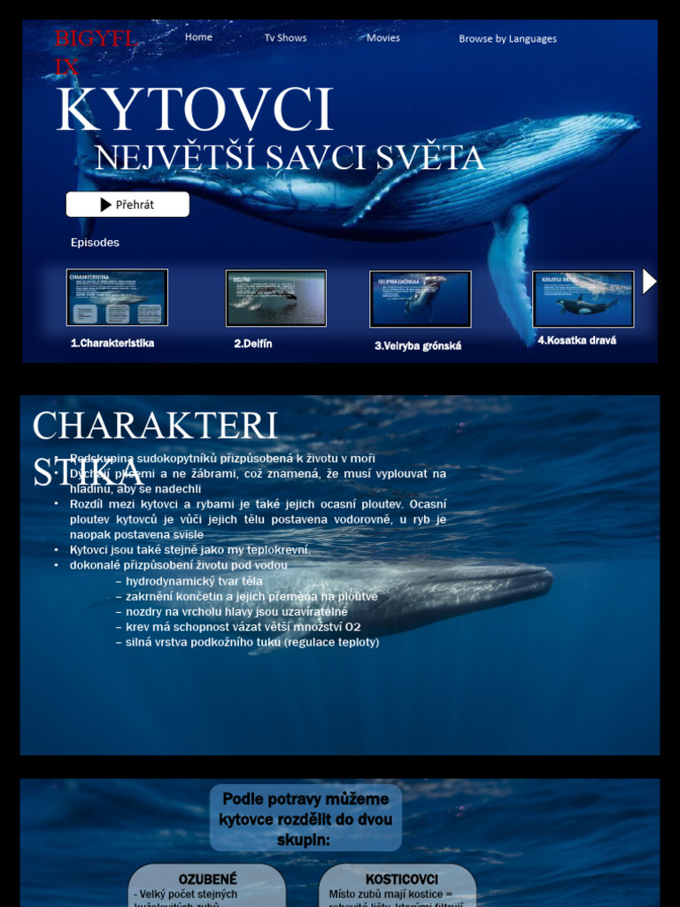 Kytovci | PDF