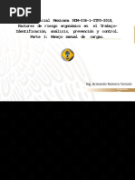 Norma Oficial Mexicana Nom-036-1-Stps-2018 | PDF | Factores humanos y ...