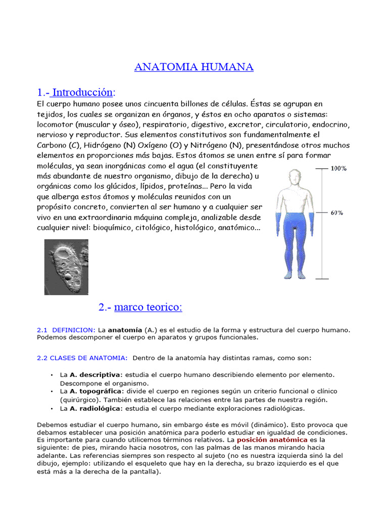 Anatomia Descargar Gratis Pdf Anatomía Cuerpo Humano