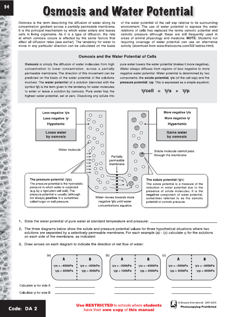 Water Potential HL | PDF