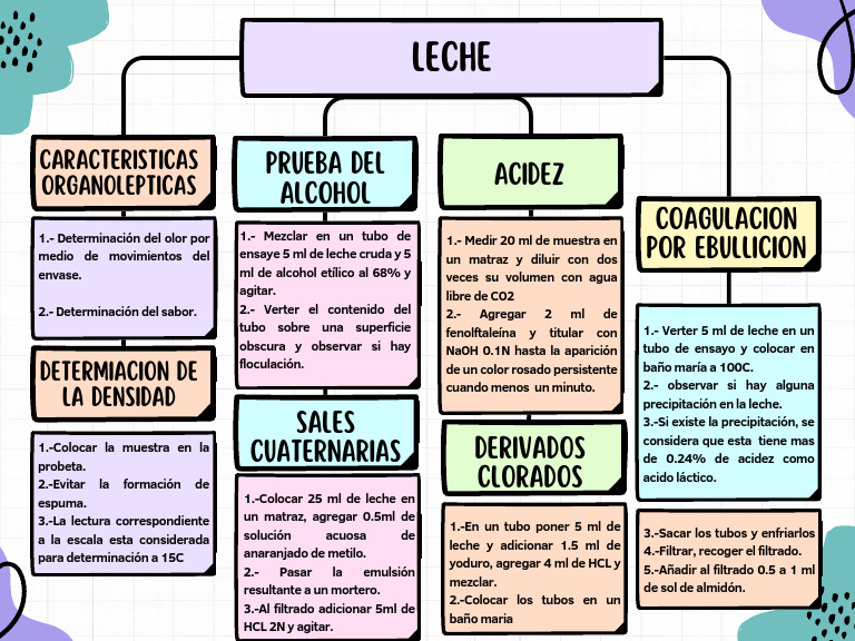 Gráfica Mapa Conceptual Simple Colorido | PDF | Leche | Química