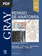 Musculos de La Nuca | PDF | Anatomía humana | Sistema musculoesquelético