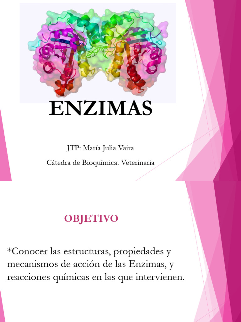 Enzimas 2024 | PDF | Enzima | Inhibidor de la enzima