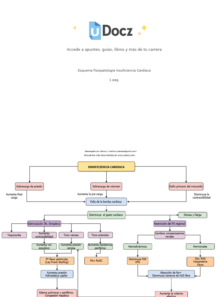 Esquema Fisiopatolog 234379 Downloadable 5609203 | PDF | Insuficiencia cardíaca | Fisiología