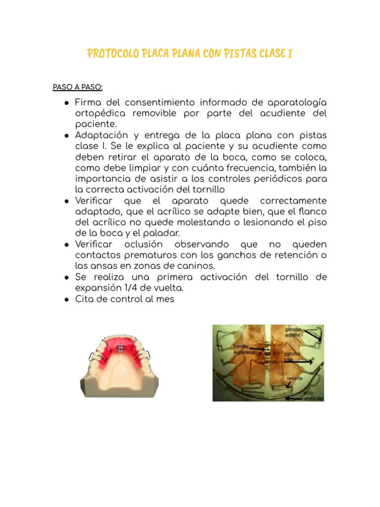 Protocolo de Placas Activas | PDF | Hogar, jardinería y bricolaje ...