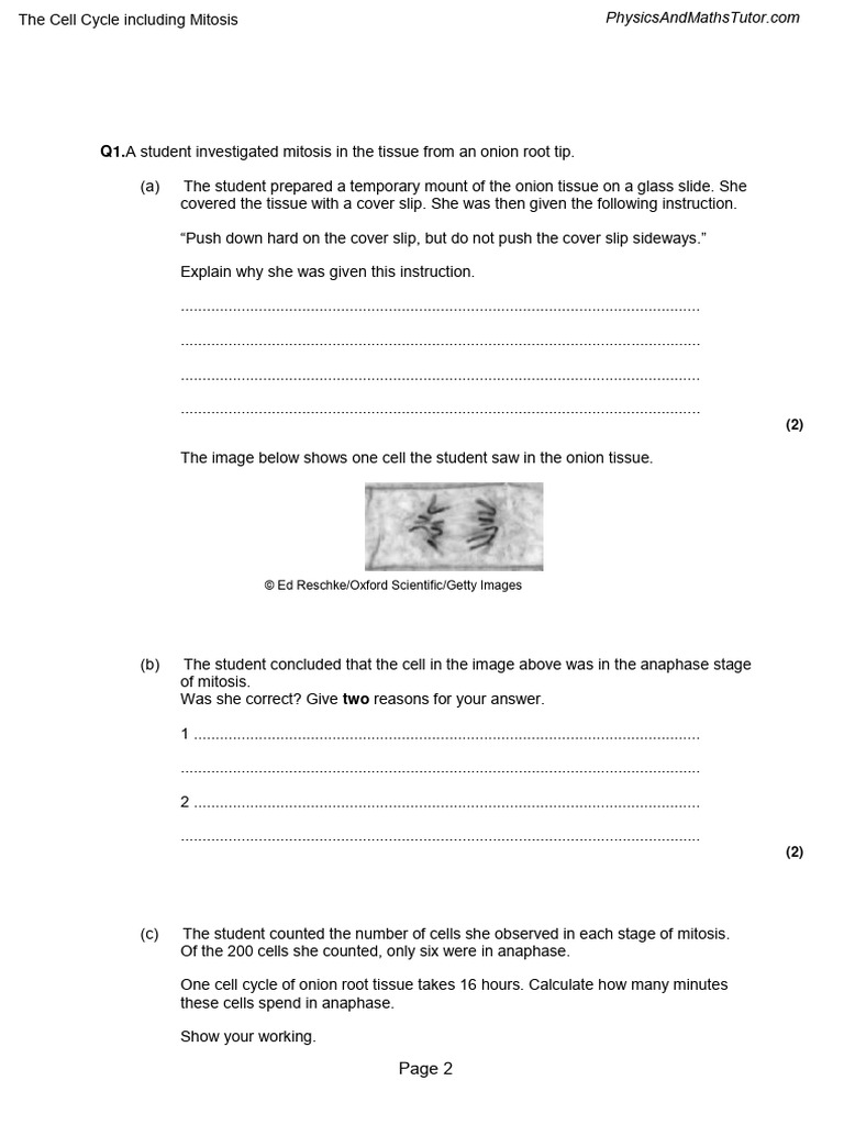 2.2 The Cell Cycle Including Mitosis QP | PDF | Mitosis | Melanoma