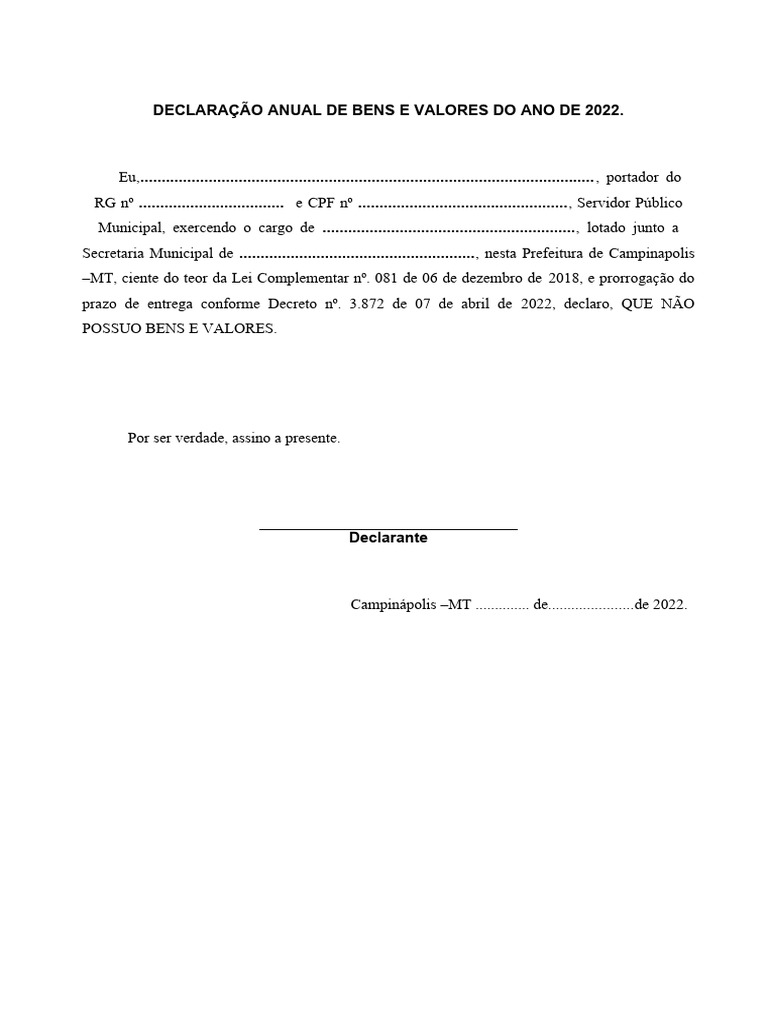 Modelo Declaracao de Bens de 2022 | PDF | Negócios
