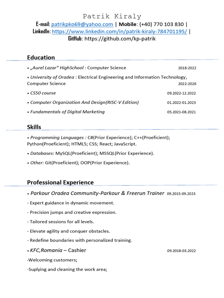 CV Patrik Kiraly.pdf | PDF | Web Application | Mobile App