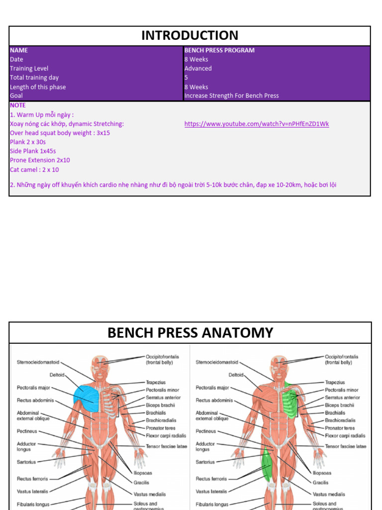 Bench Increasing Pdf Management Of Obesity Weight