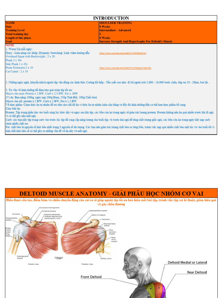 Shoulder Training | PDF