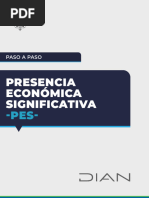 Instructivo Pagos Pse Dian | PDF