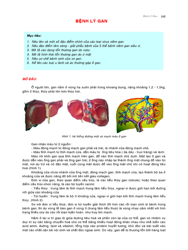 Bệnh Lý Gan | PDF