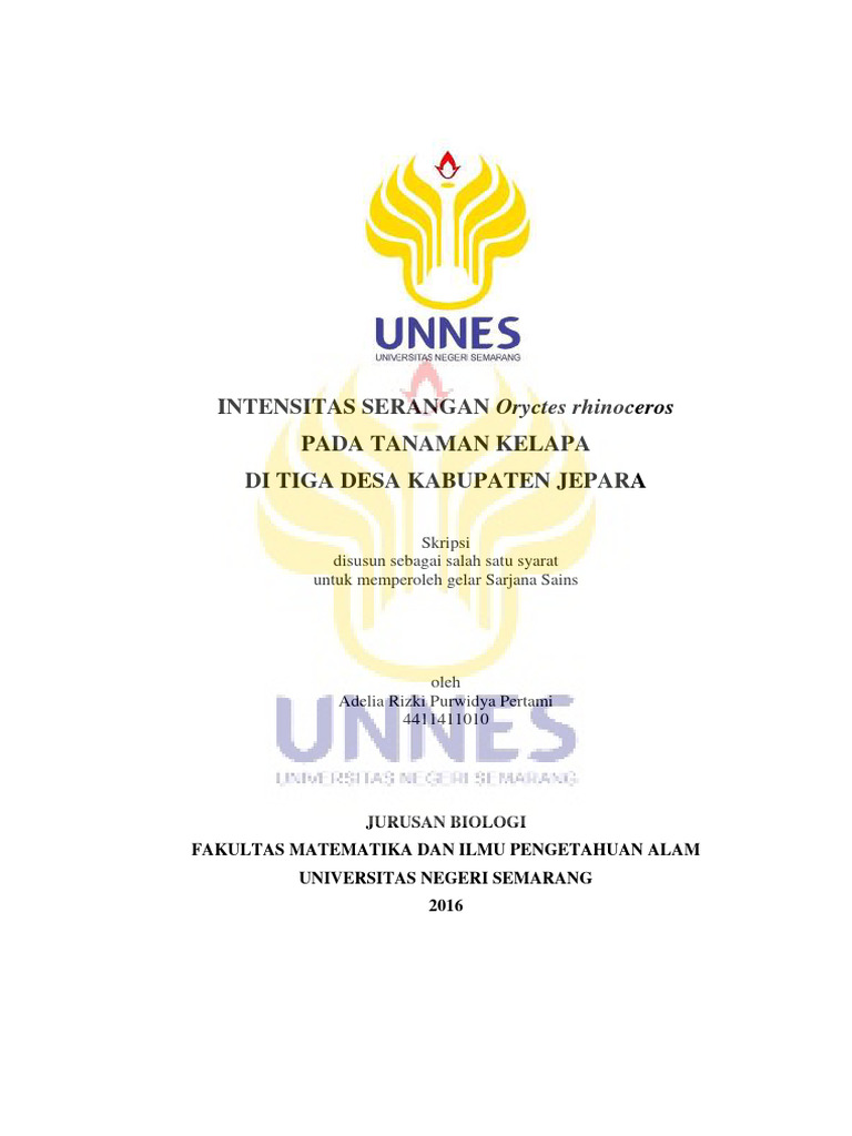 Hama Oryctes Kwangwung | PDF