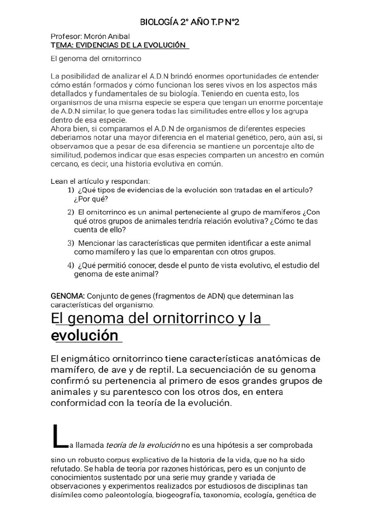 BIO 2° AÑO TP N°1 EVIDENCIAS DE LA EVOLUCIÓN - Belgrano | PDF