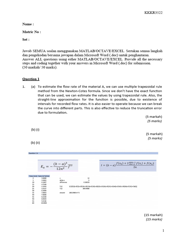 MATLAB/Excel Assignment Guidelines | PDF | Mathematical Analysis | Applied Mathematics